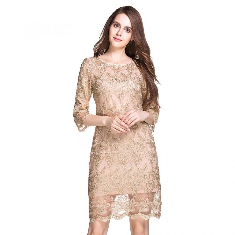 Elegant lace embroidery Plus size short party dress - Power Day Sale